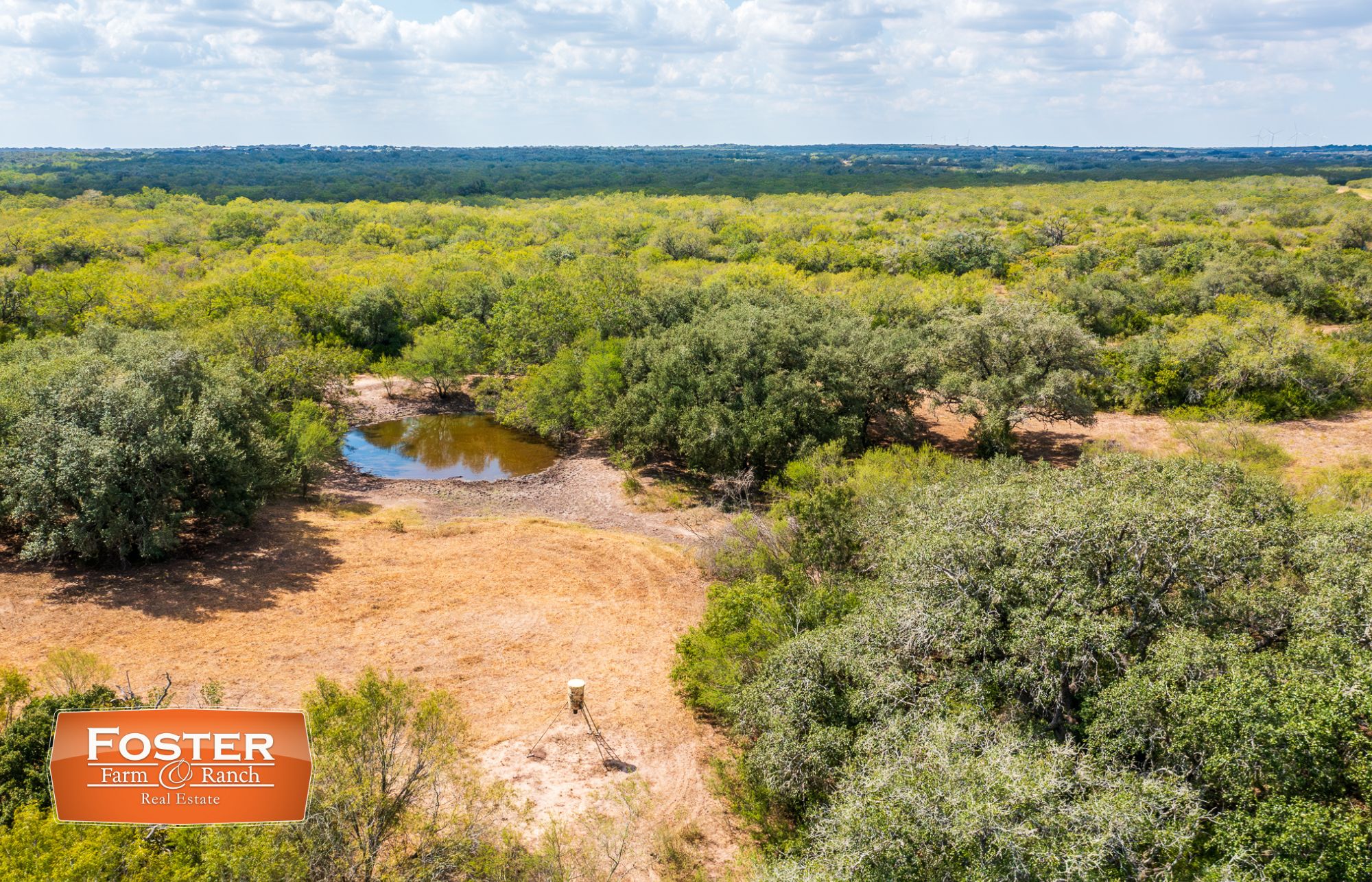 150 acres in Pettus, TX, 78146 | MLS: 1814491 | Land.com