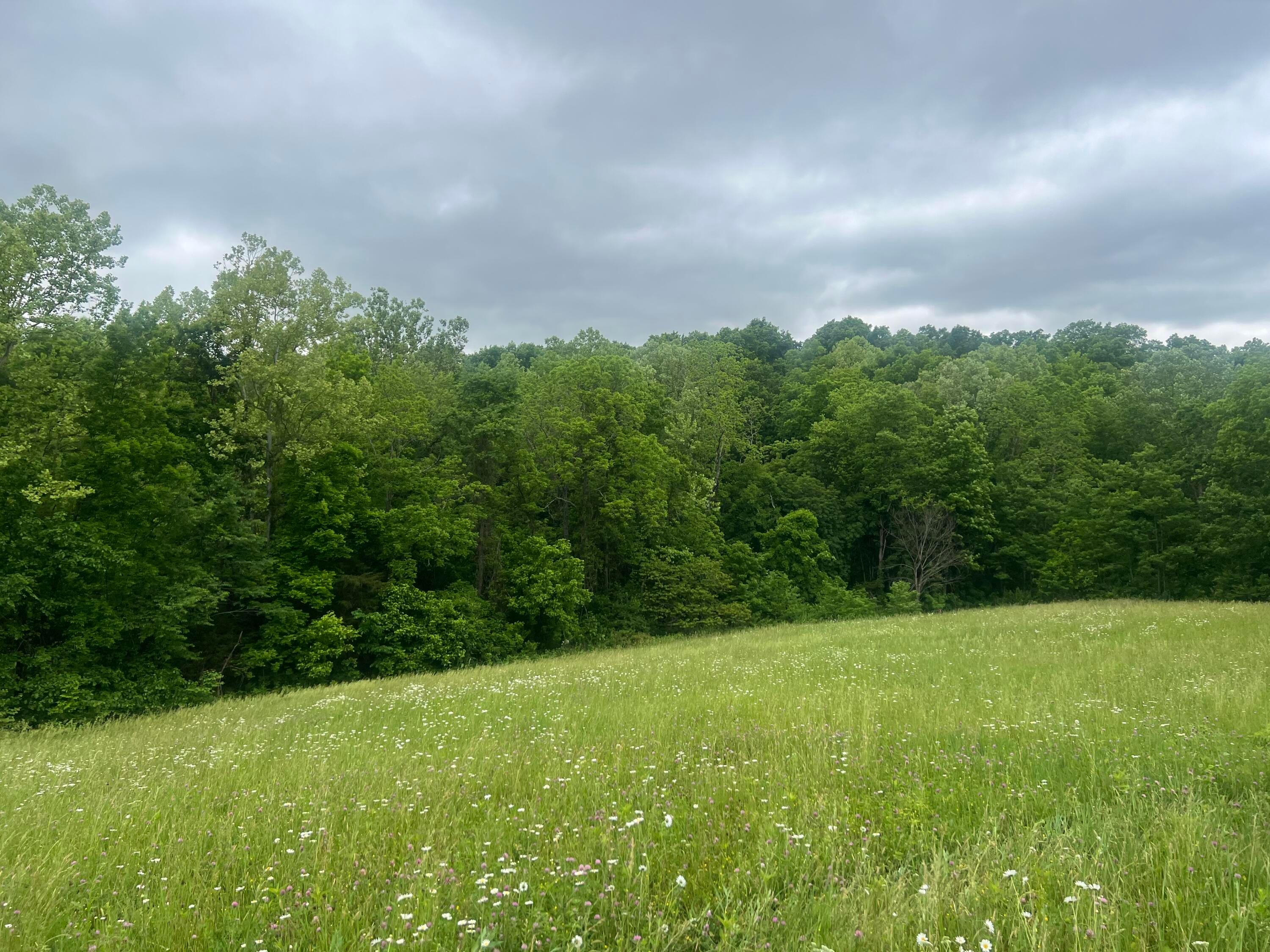 tract 1 Pleasant Grove Road, Corinth, KY 41010 | MLS: 623086 | Land.com