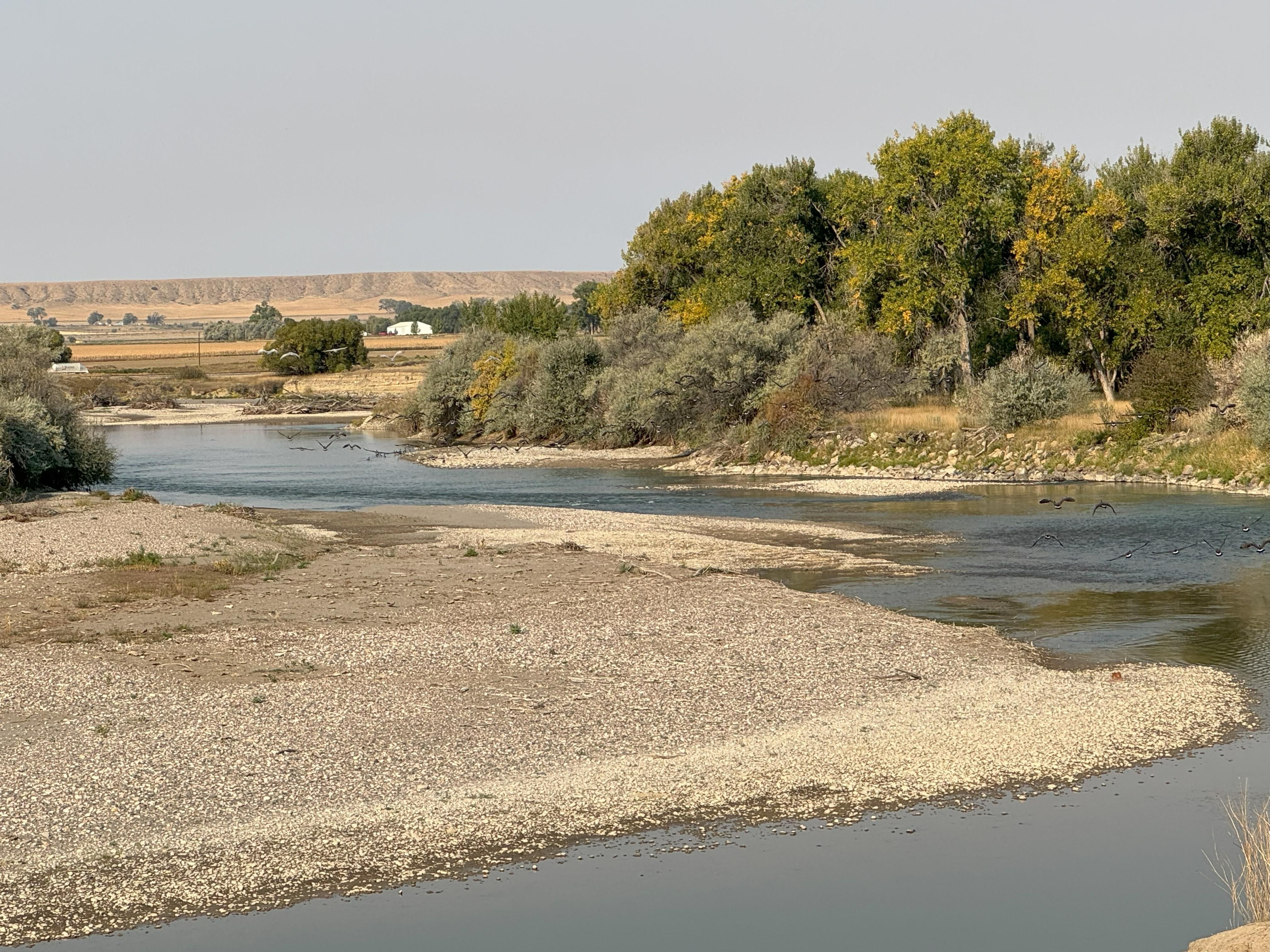 190 Edgar Fromberg Rd, Fromberg, MT 59029 | MLS: 348975 | Land.com