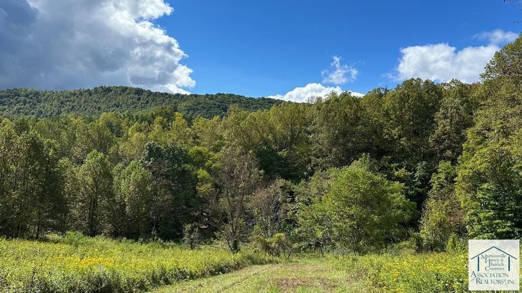 11563 Woolwine Hwy, Woolwine, VA 24185 | MLS: 142071 | Land.com