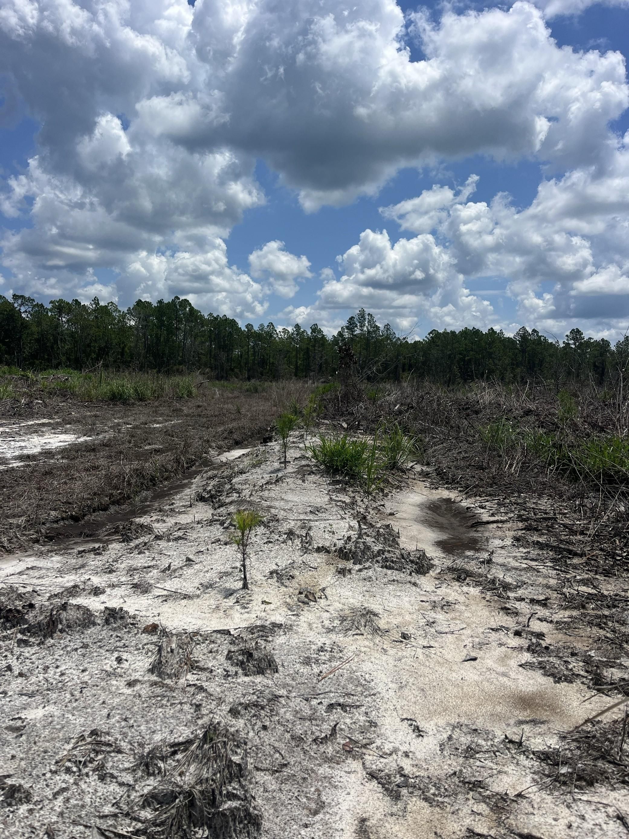 U.S. 82, Nahunta, GA 31553 | Land.com