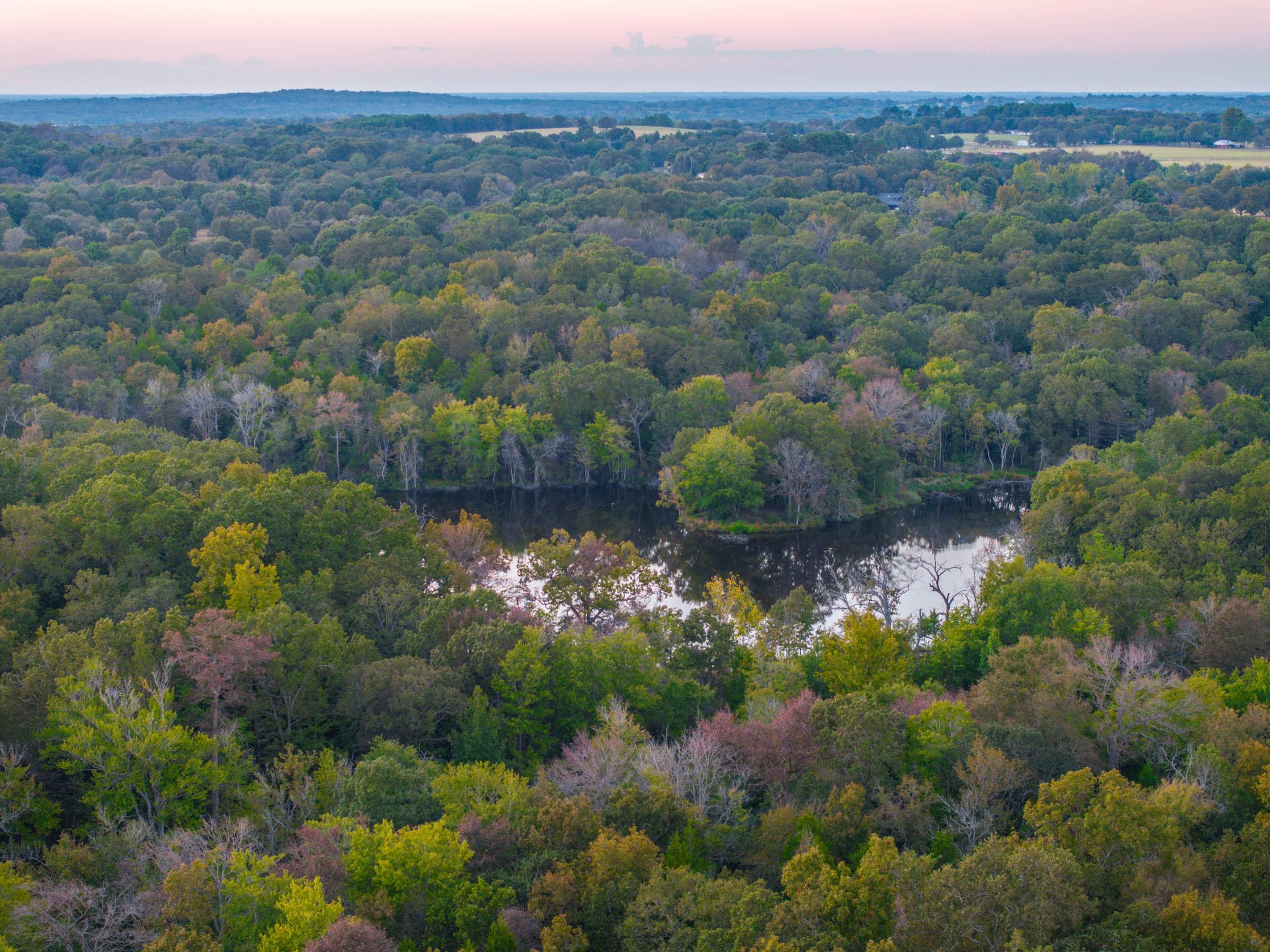 1400 FM 59, Athens, TX 75751 | MLS: Stone Lake Ranch | Land.com