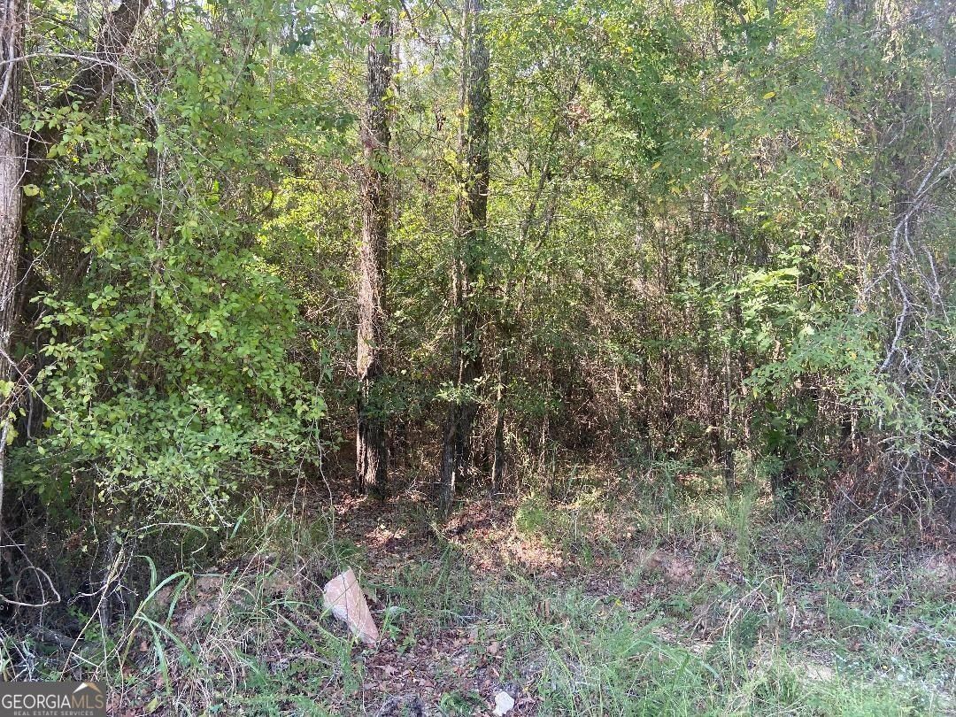 0 Saggus Rd, Crawfordville, GA 30631 | MLS: 10391439 | Land.com