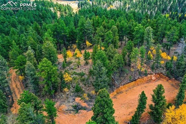 422 Spring Valley Drive, Divide, CO 80814 | MLS: 4409028 | Land.com
