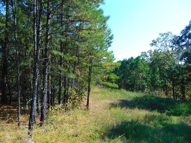 26.45 acres in Red Oak, OK, 74563 | Land.com
