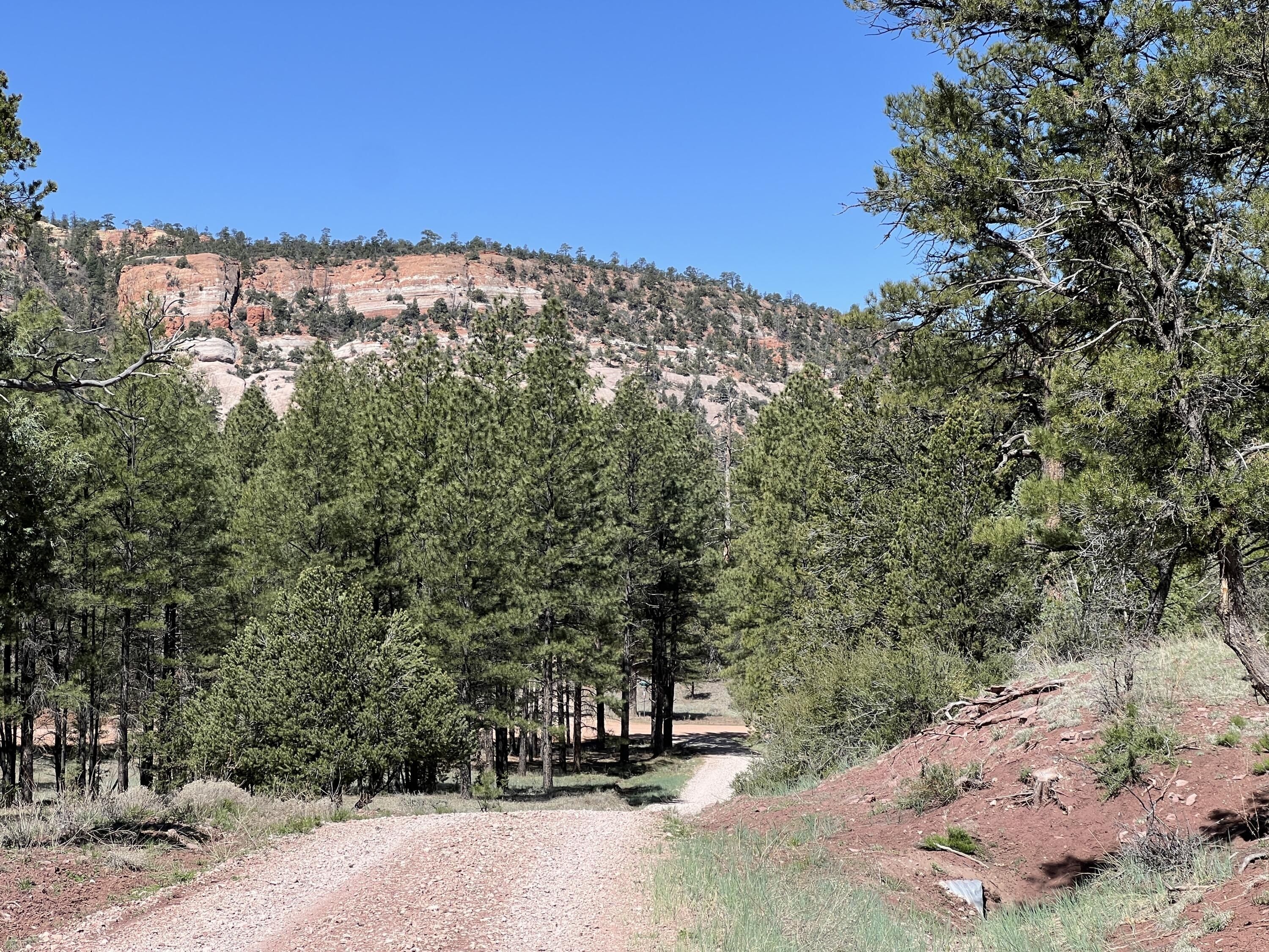 3 Bluebird Road, Ramah, NM 87321 | MLS: 1072416 | Land.com