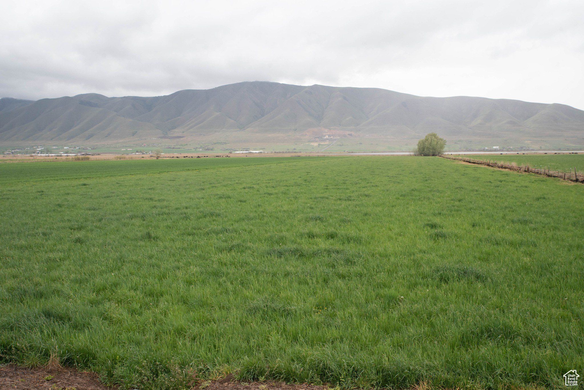 6900 S 4400 W, Benjamin, UT 84660 | MLS: 1984058 | Land.com