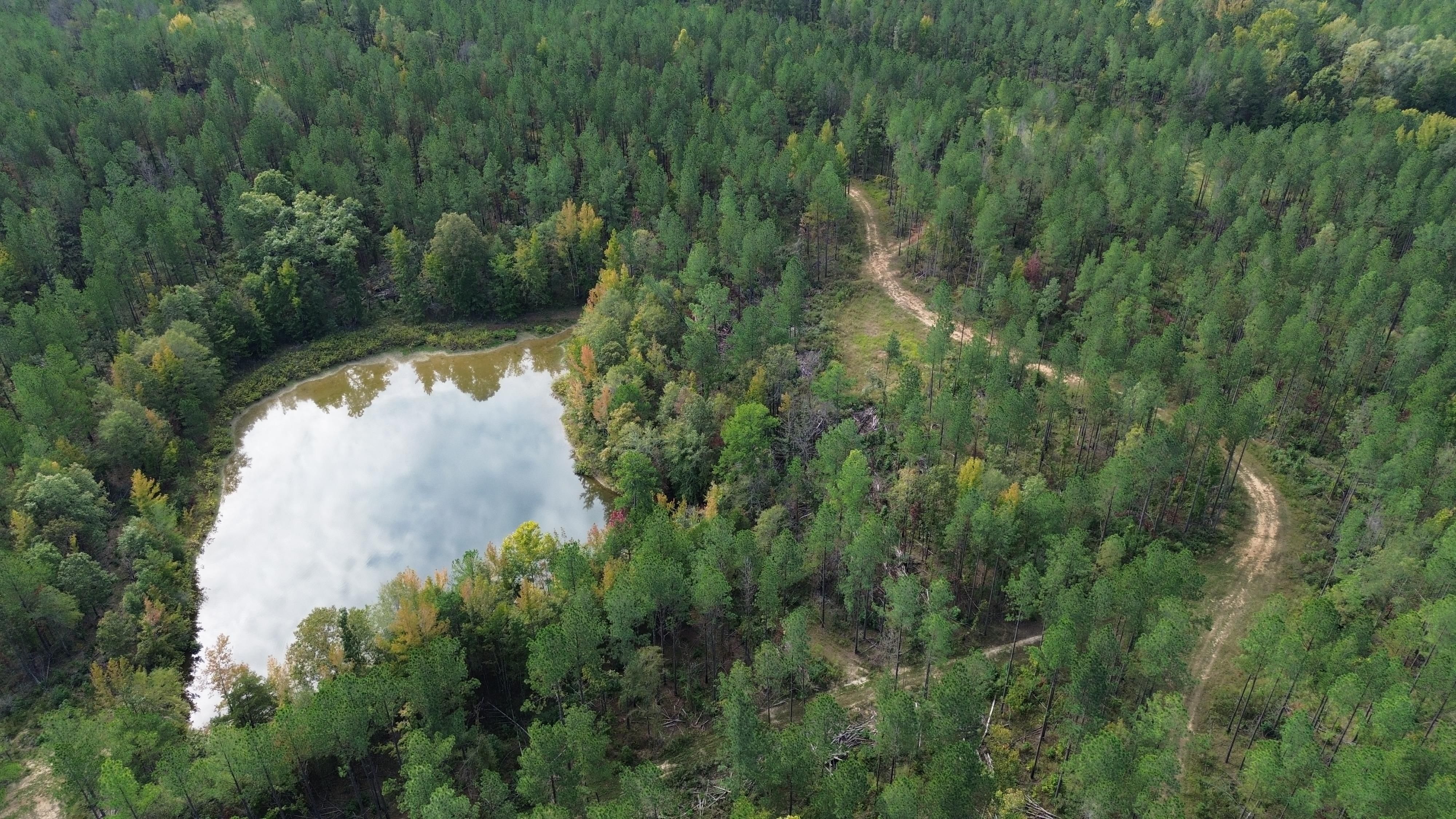 256 acres in Owens Wells, MS, 39095 | MLS: CDR256H | Land.com