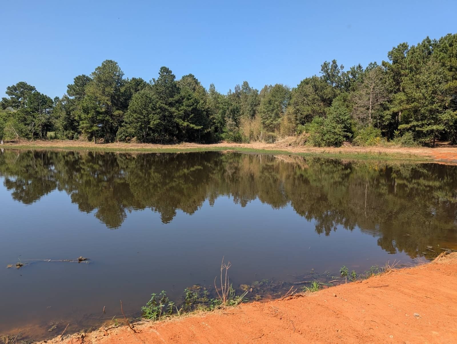 TBD FM 999, Gary, TX 75643 | MLS: 11353253 | Land.com