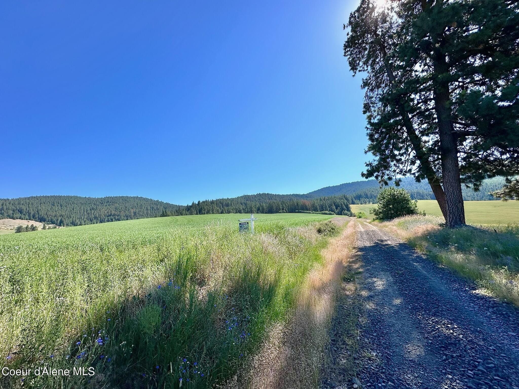 2000 Pine Creek Rd, Farmington, WA 99128 | MLS: 24-9577 | Land.com
