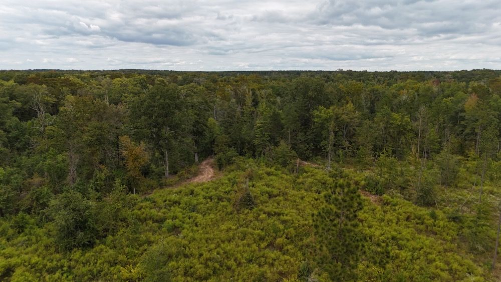 Highway 4 Lot# WP002, Grayson, LA 71435 | Land.com