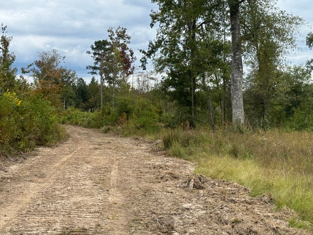 Highway 4 Lot# Wp003, Grayson, LA 71435 | Land.com