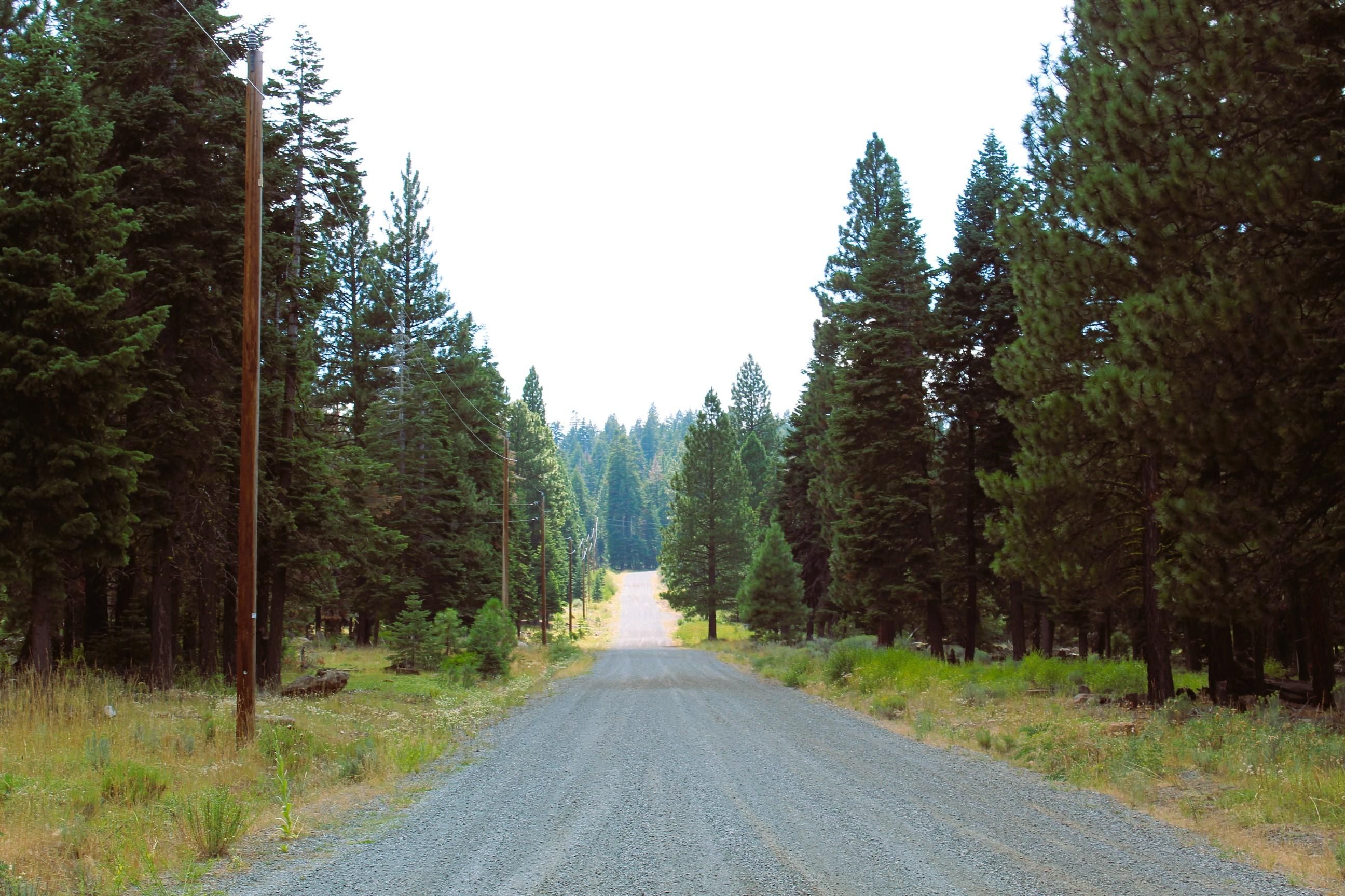 California PInes Blvd., Alturas, CA 96101 | Land.com