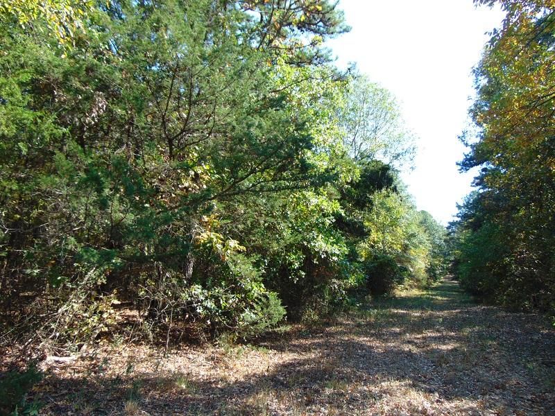 8.21 acres in Red Oak, OK, 74563 | Land.com