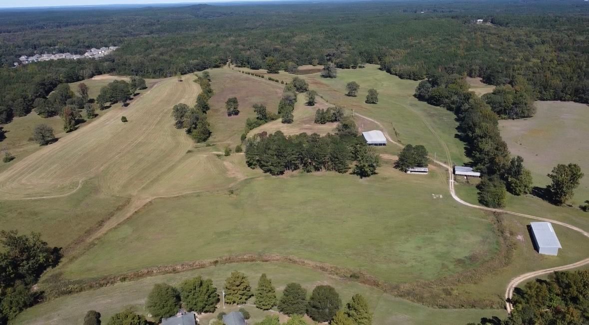 130 acres in Taylor, MS, 38655 | Land.com