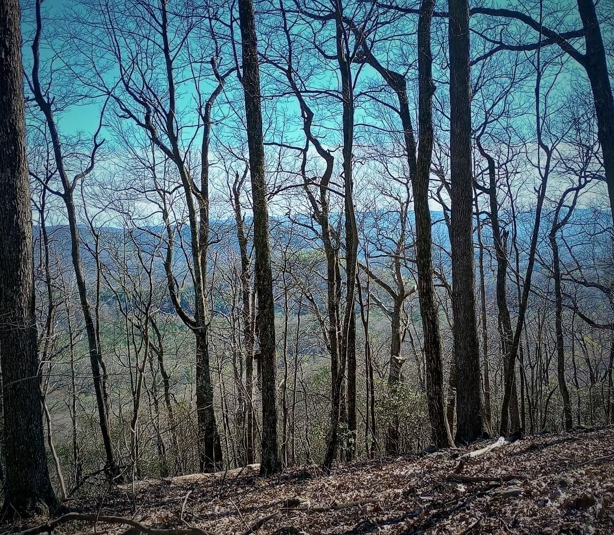 Big Creek Rd, Ellijay, GA 30536 | MLS: 407007 | Land.com