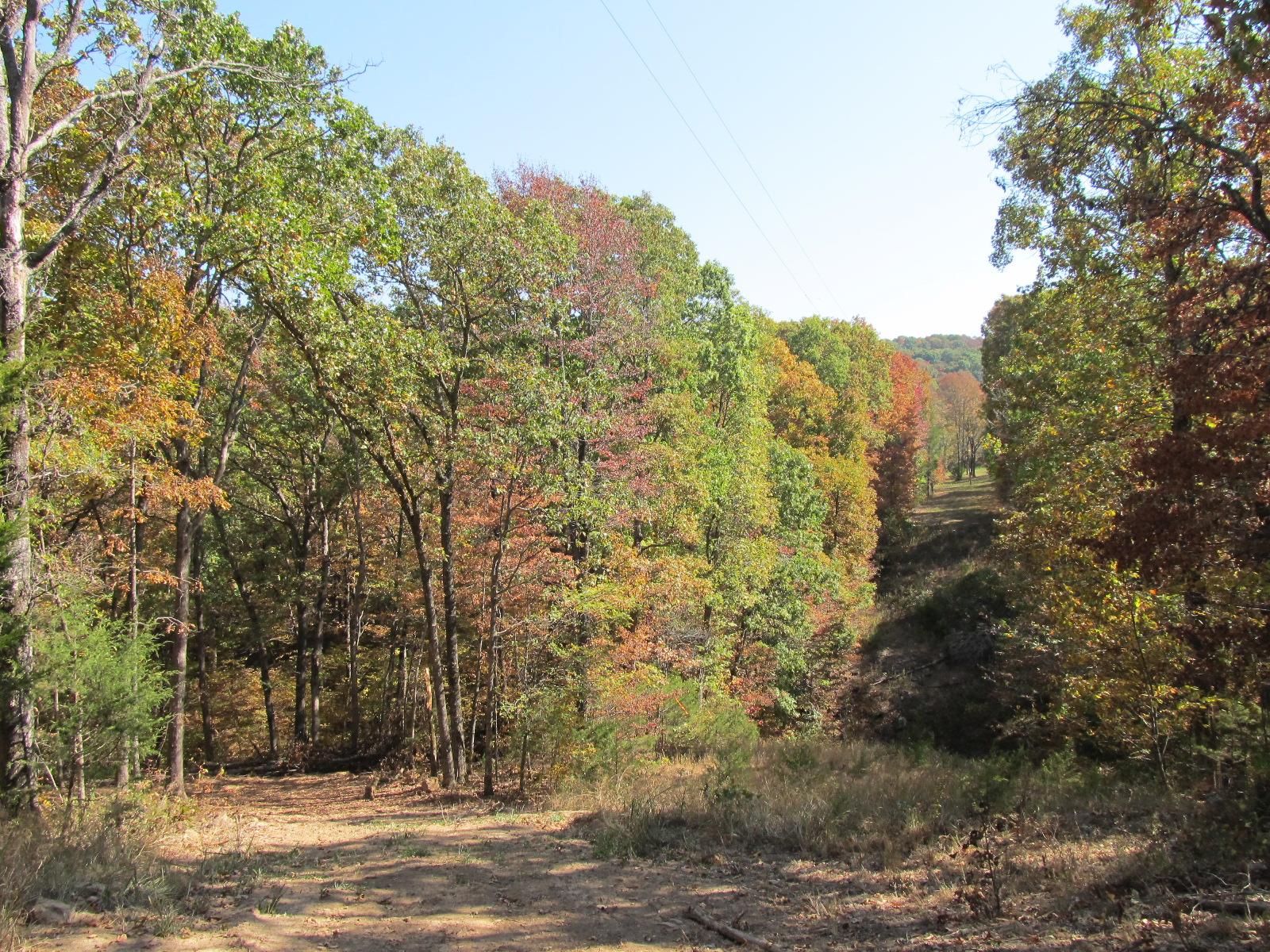 150 acres in Wesley, AR, 72773 | Land.com