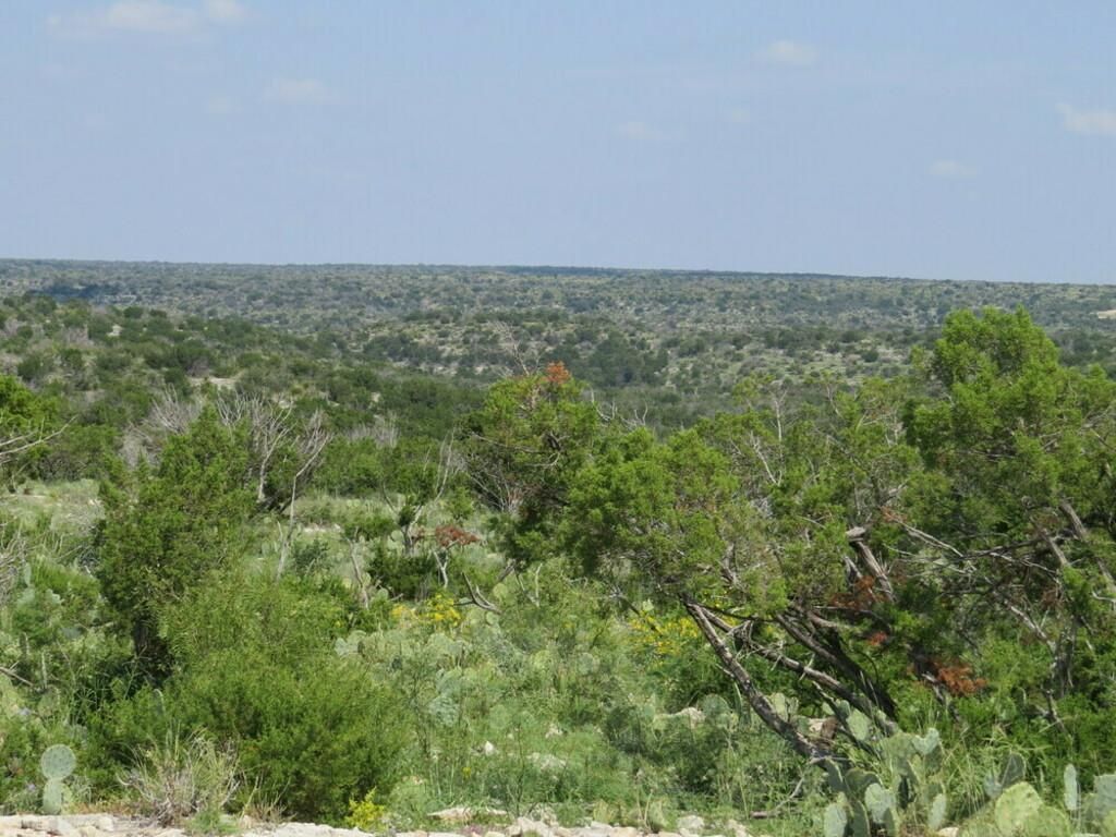 330.11 acres in Juno, TX, 78840 | Land.com
