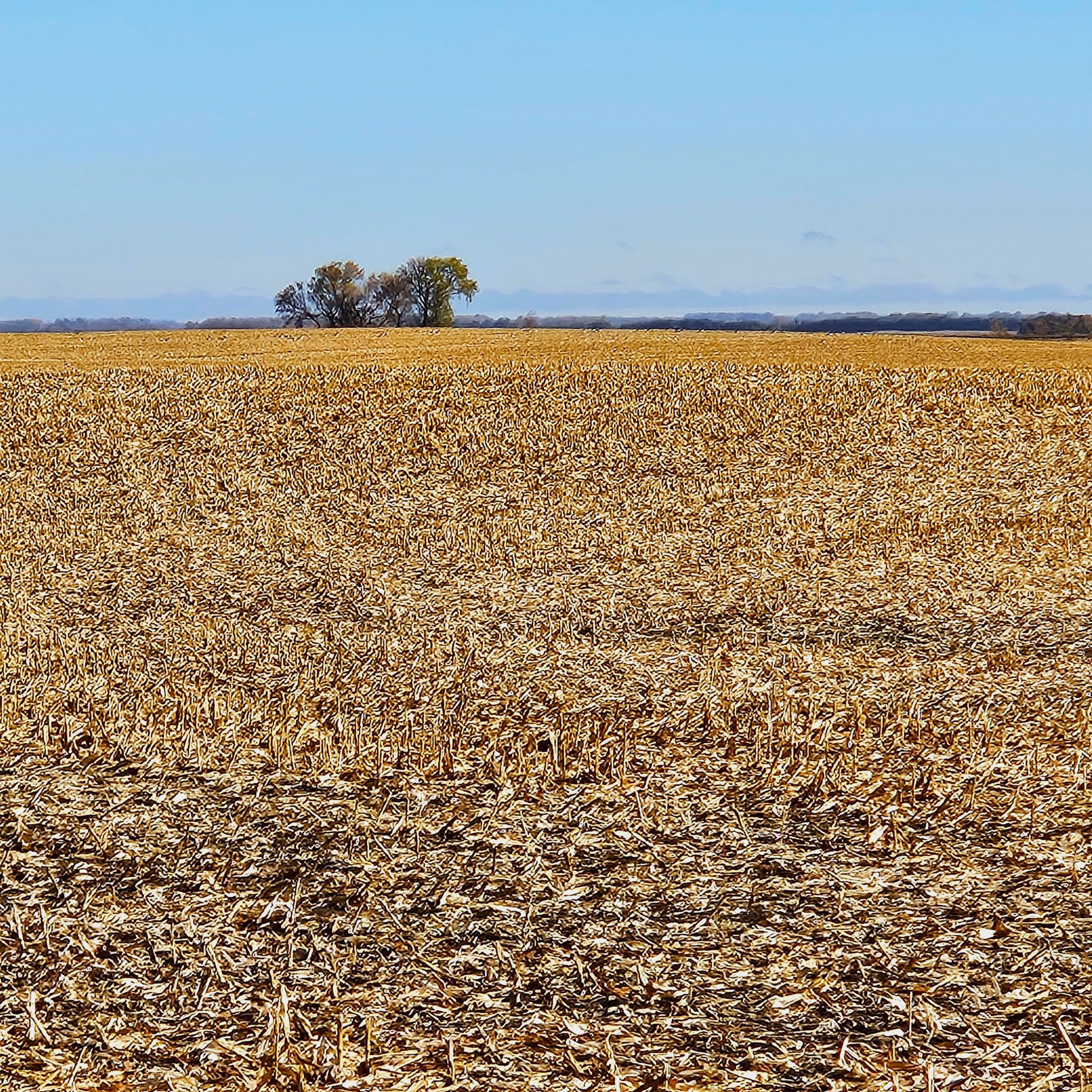 160 acres in Finley, ND, 58230 | Land.com