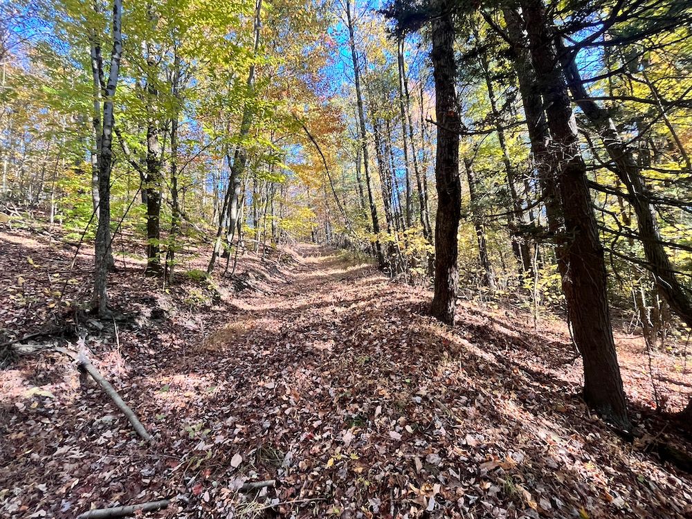 State Route 34, Lot#WP001, Lockwood, NY 14859 | MLS: 11354847 | Land.com