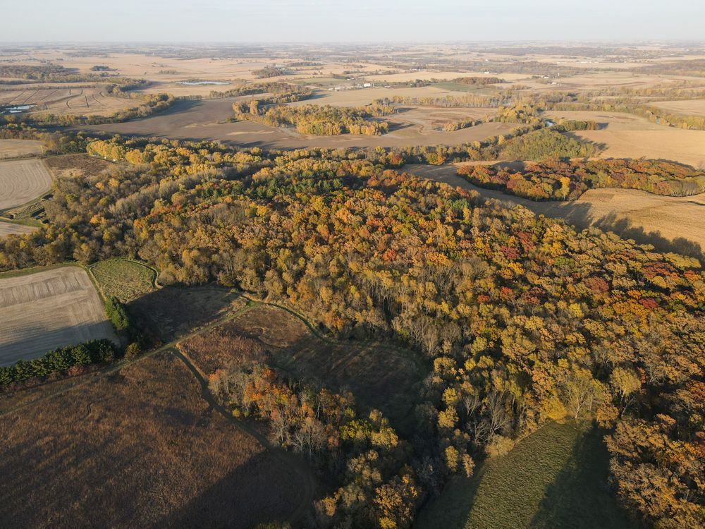 000 Cabin Road, Lena, IL 61408 | MLS: Stephenson 76.6 | Land.com