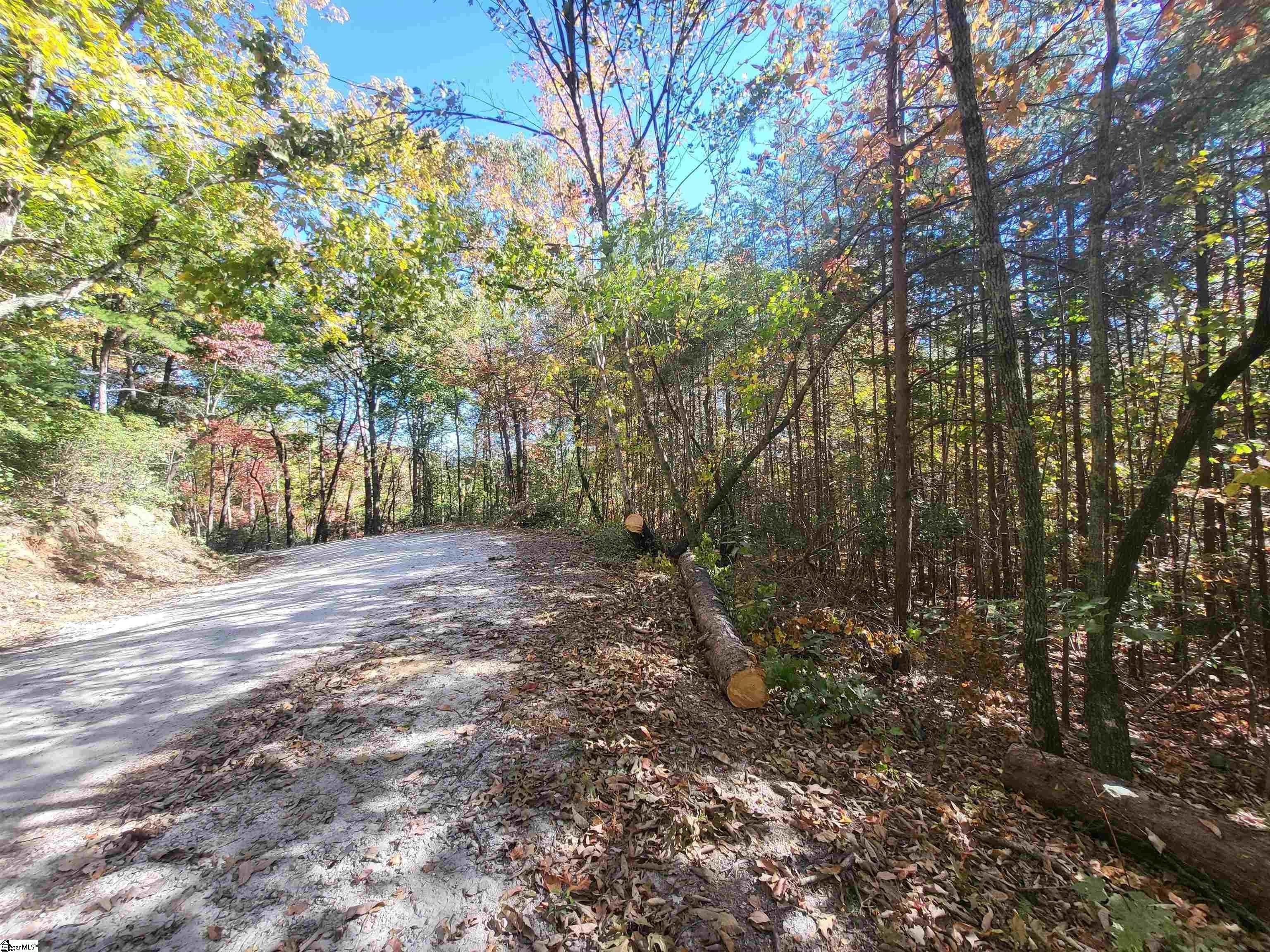 00 Persimmon Ridge Road, Cleveland, SC 29635 | MLS: 1534556 | Land.com