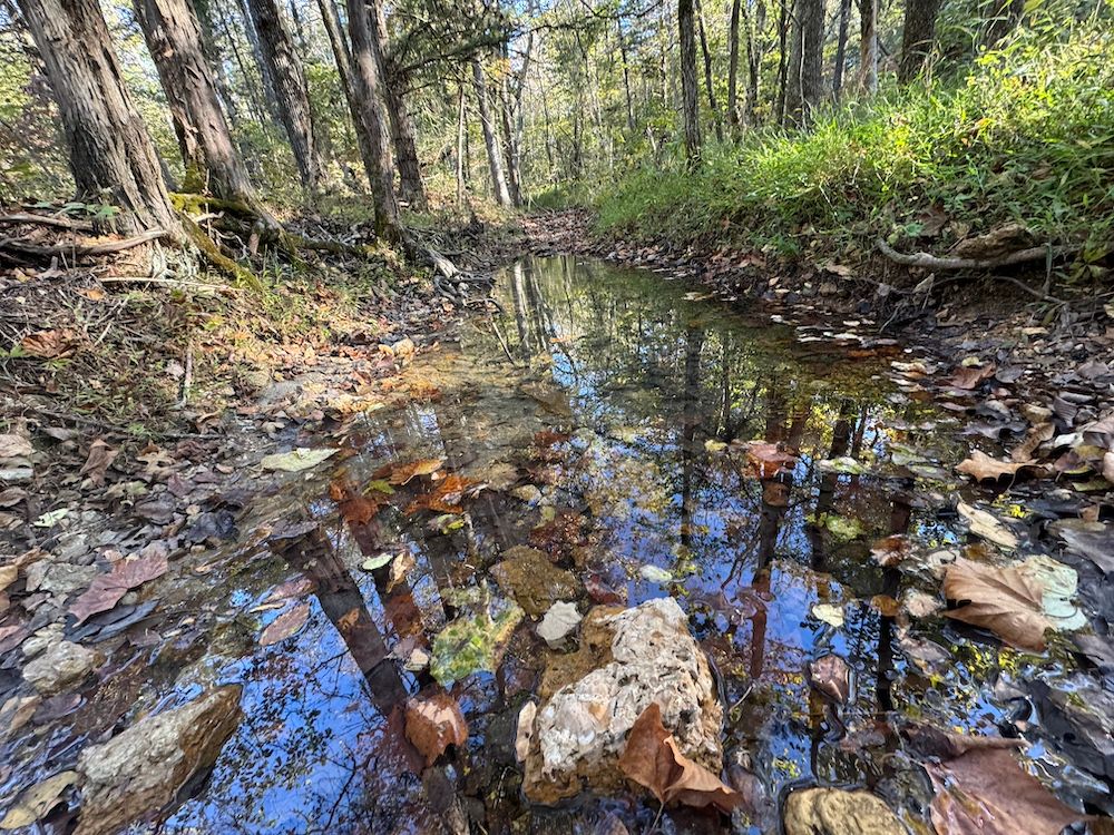 000 County Road 326 Lot#WP001, Dora, MO 65637 | Land.com