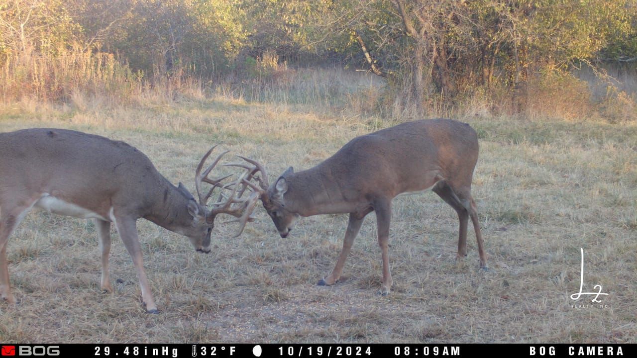 S 37th, Parsons, KS 67357 | Land.com