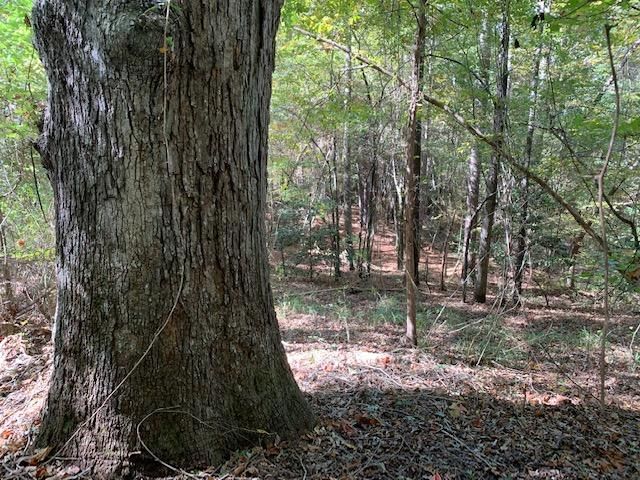 2 Summerfield Hwy, Summerfield, LA 71079 | MLS: 931 | Land.com