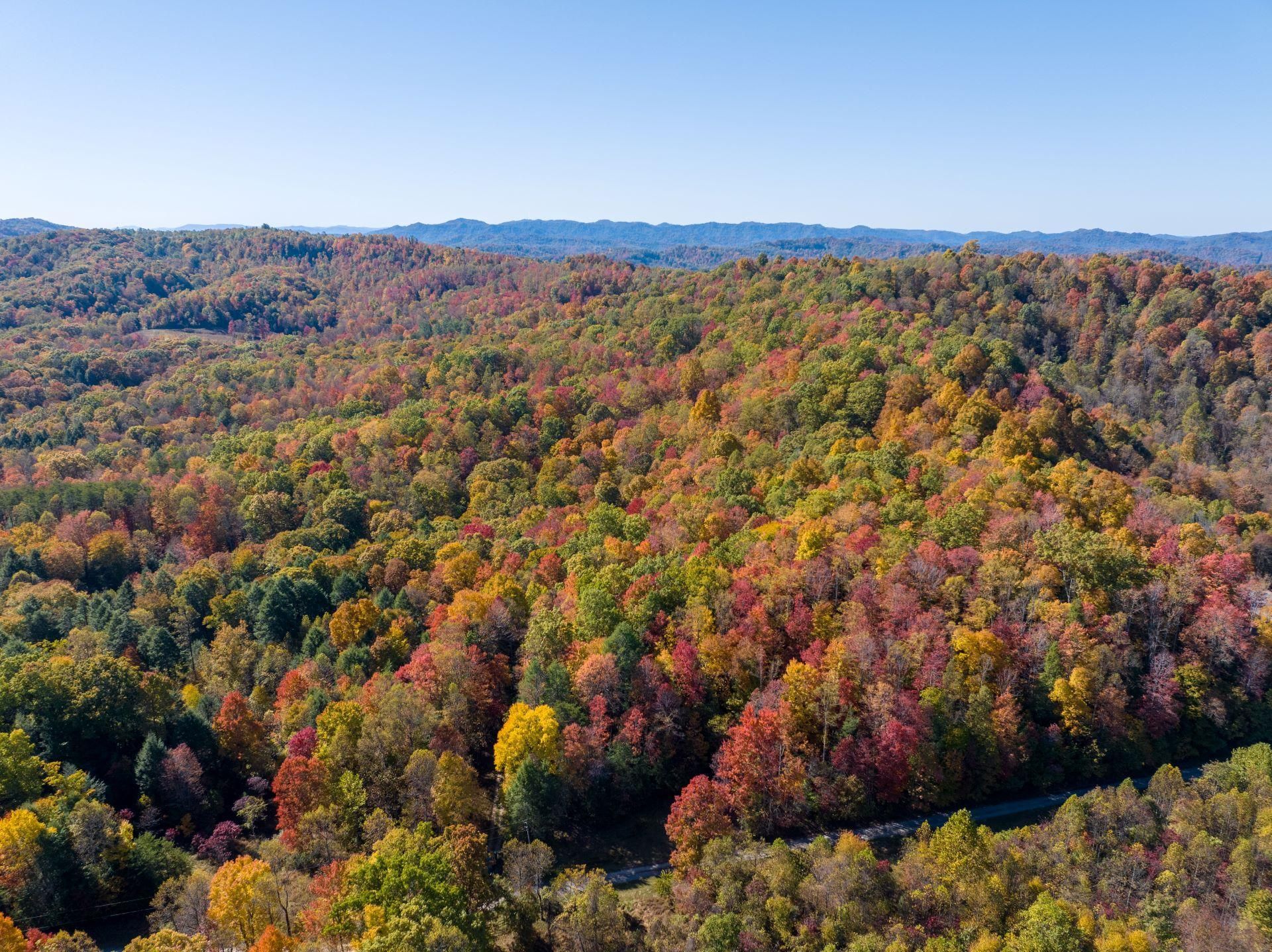 Elliott Rd, Victor, WV 25938 | Land.com