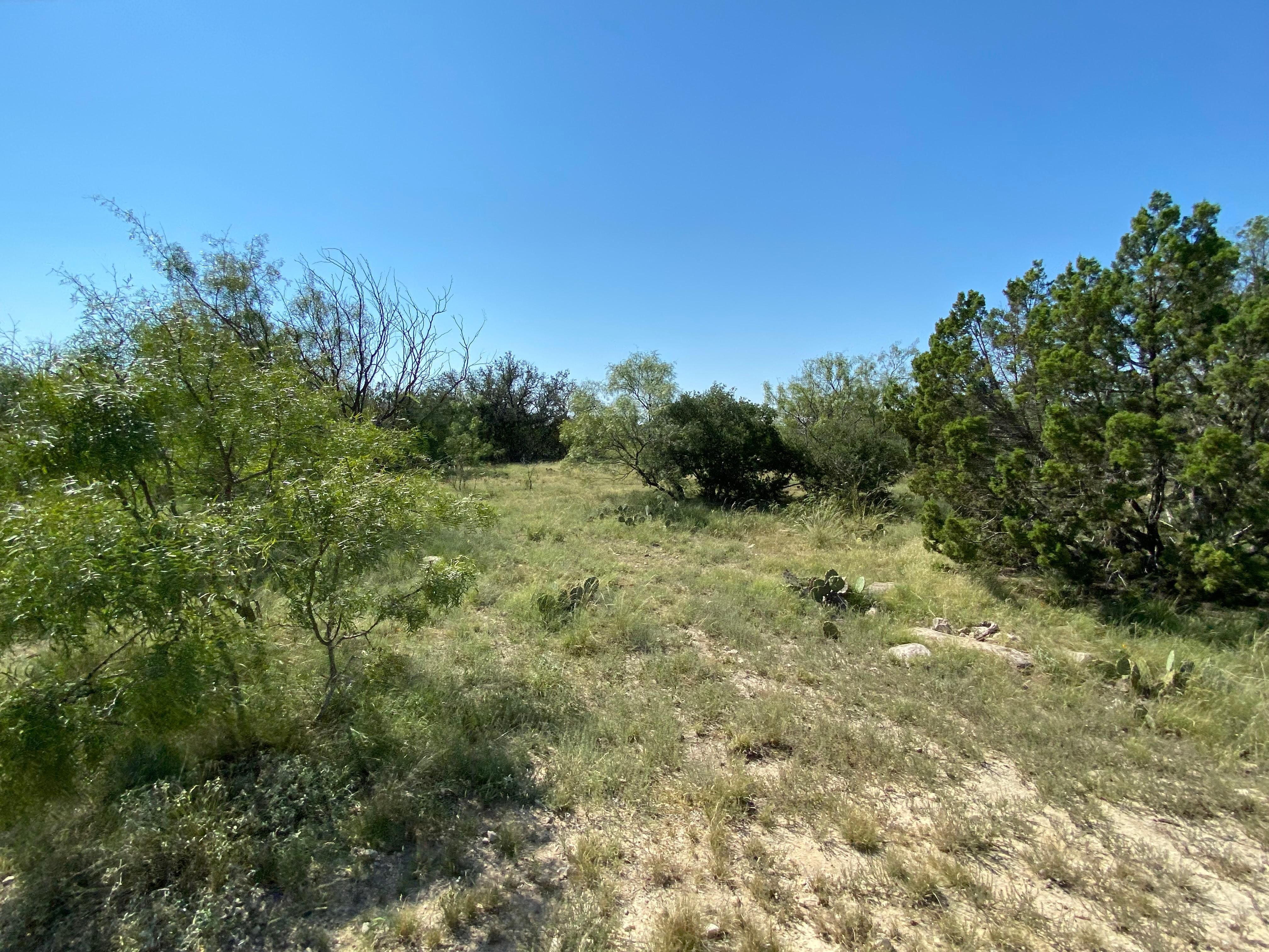 96 acres in Sonora, TX, 76950 | Land.com
