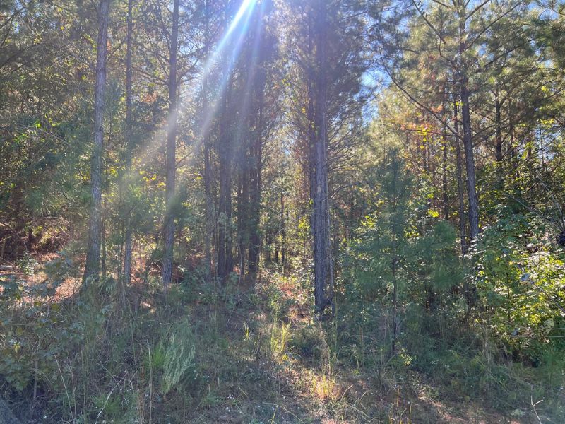 Logtown Road, Thomaston, GA 30286 | Land.com