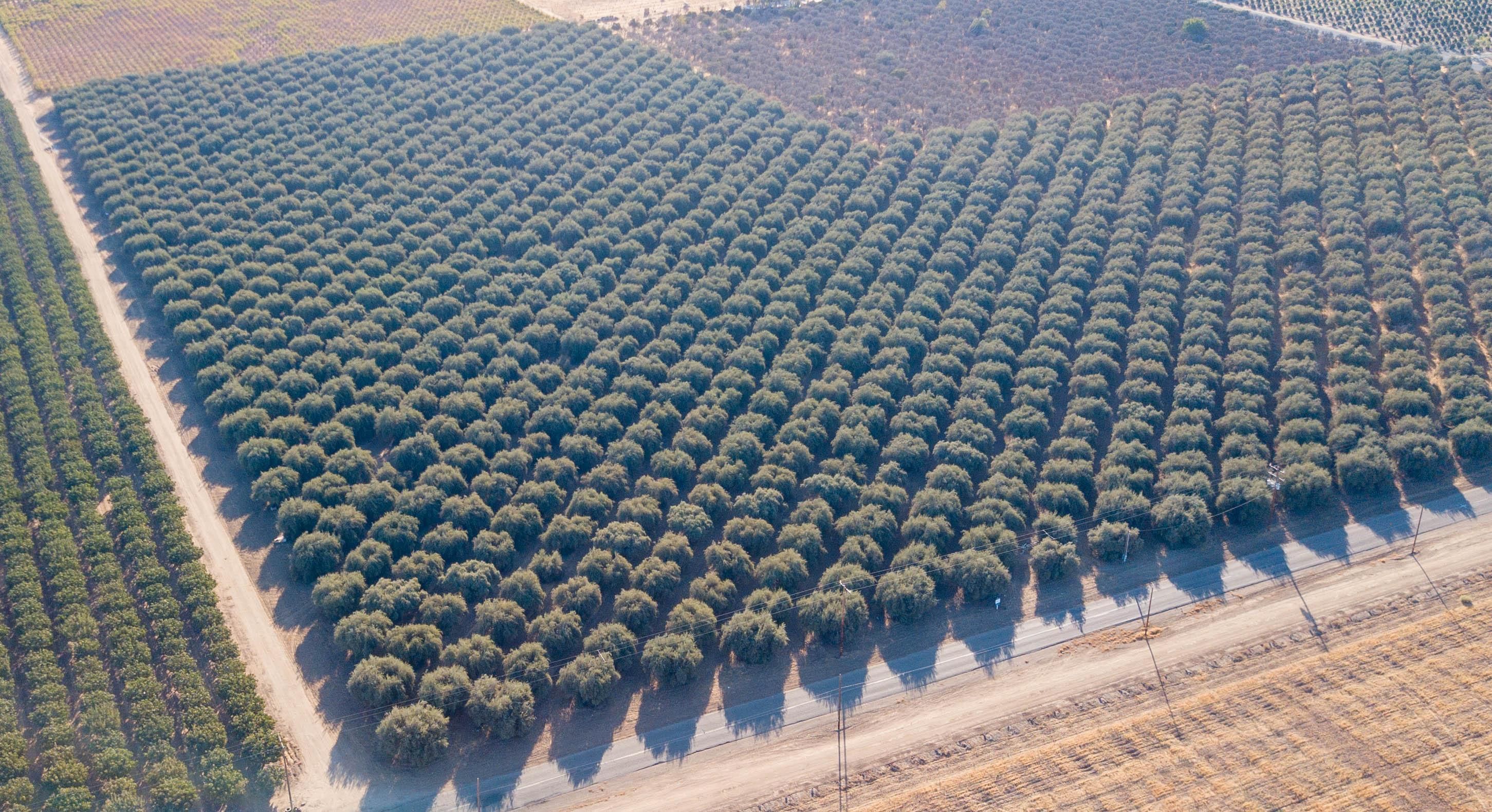 Road 224, Ducor, CA 93218 | MLS: 231824 | Land.com