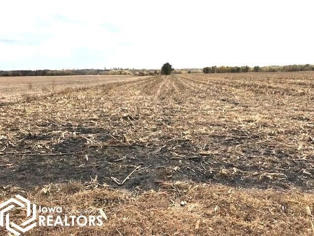 00 285th St. Tracy, Iowa, Bussey, IA 50256 | MLS: 6322830 | Land.com