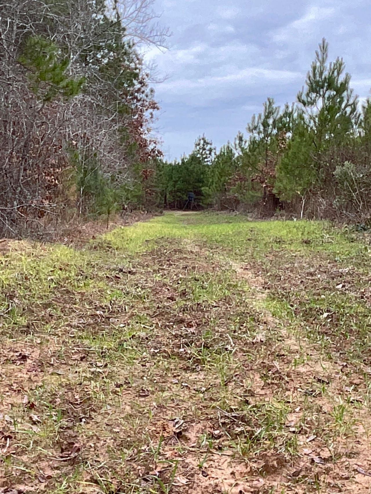 TBD FM 134, Waskom, TX 75692 | Land.com