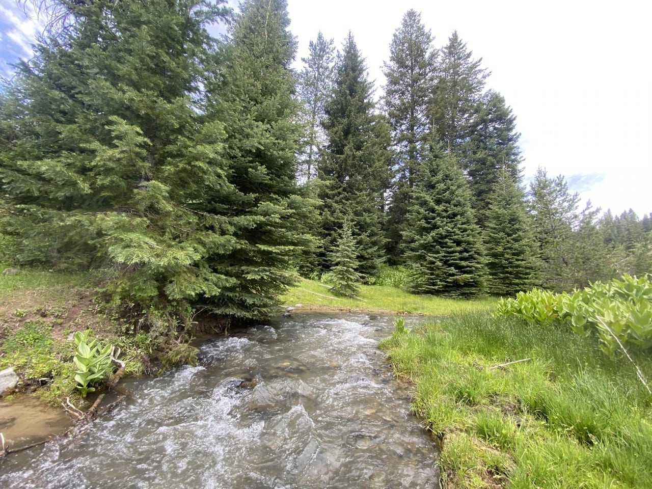 482 acres in Keating, OR, 97814 | Land.com