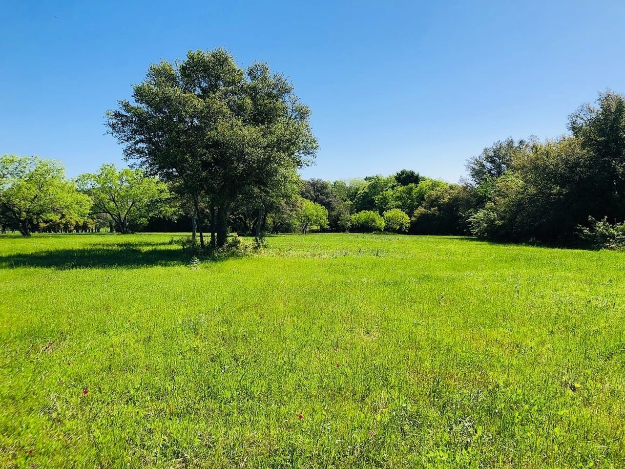 Scott Road, Weimar, TX 78962 | Land.com