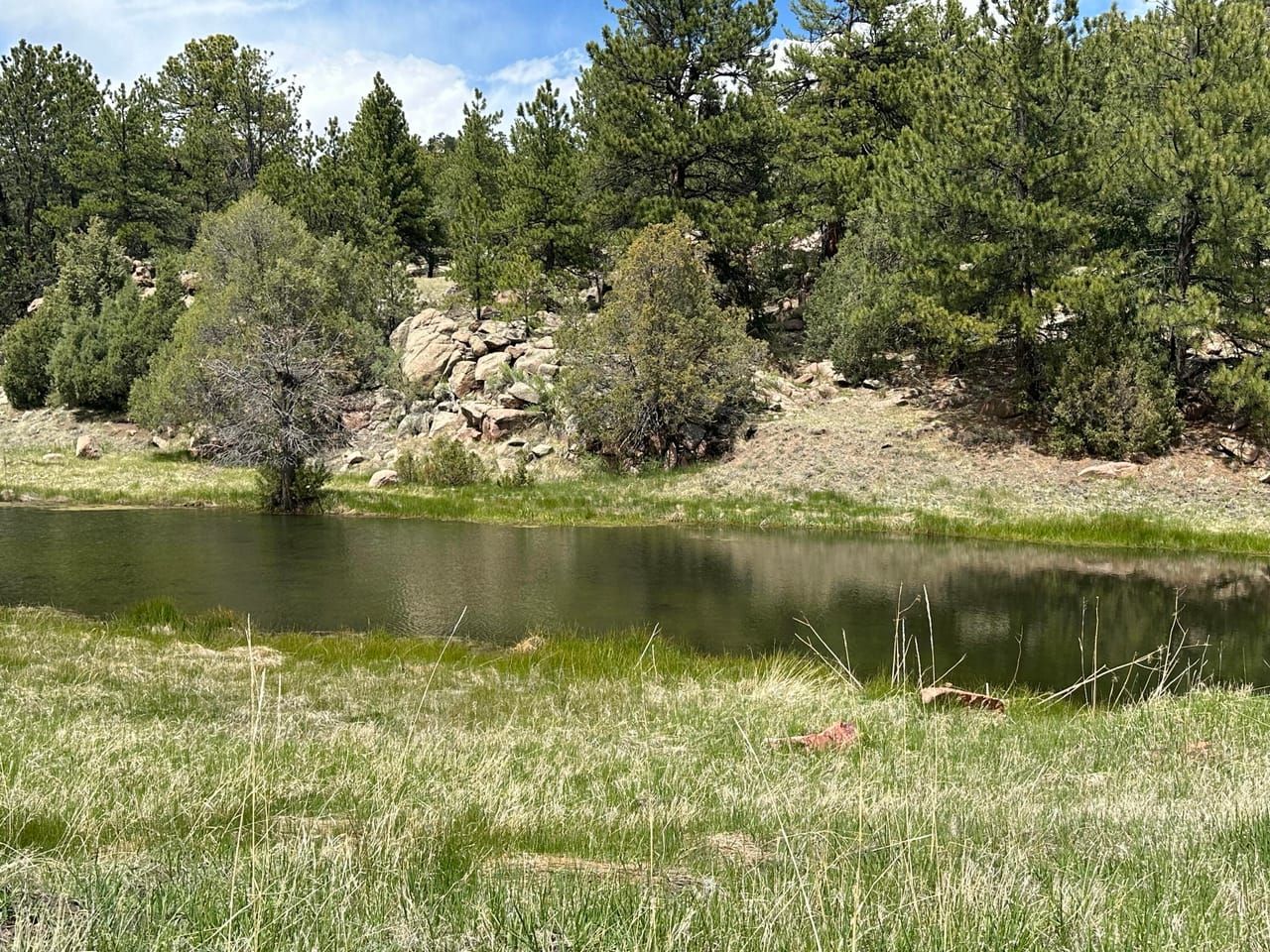 2332 Cr #111, Florissant, CO 80816 | Land.com