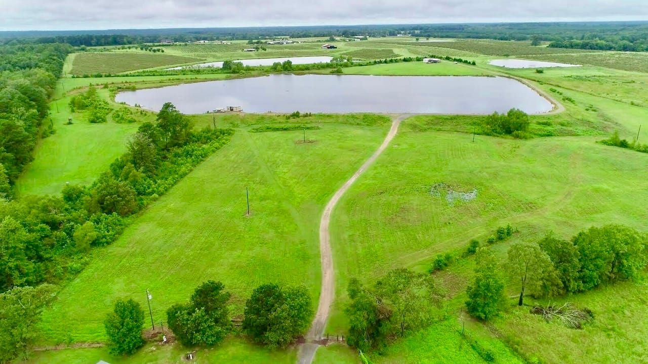 194 CR 3221, DeBerry, TX 75639 | Land.com
