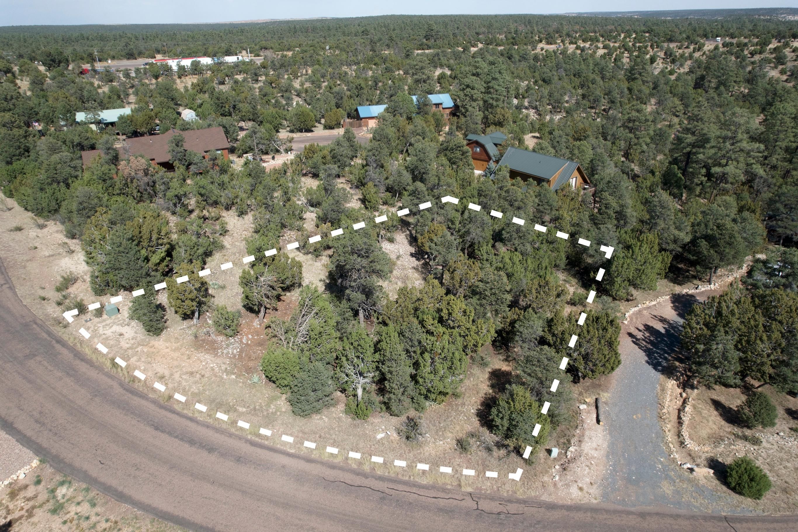 3465 Carefree Rd, Heber, AZ 85928 | MLS: #DVL-892092 | Land.com