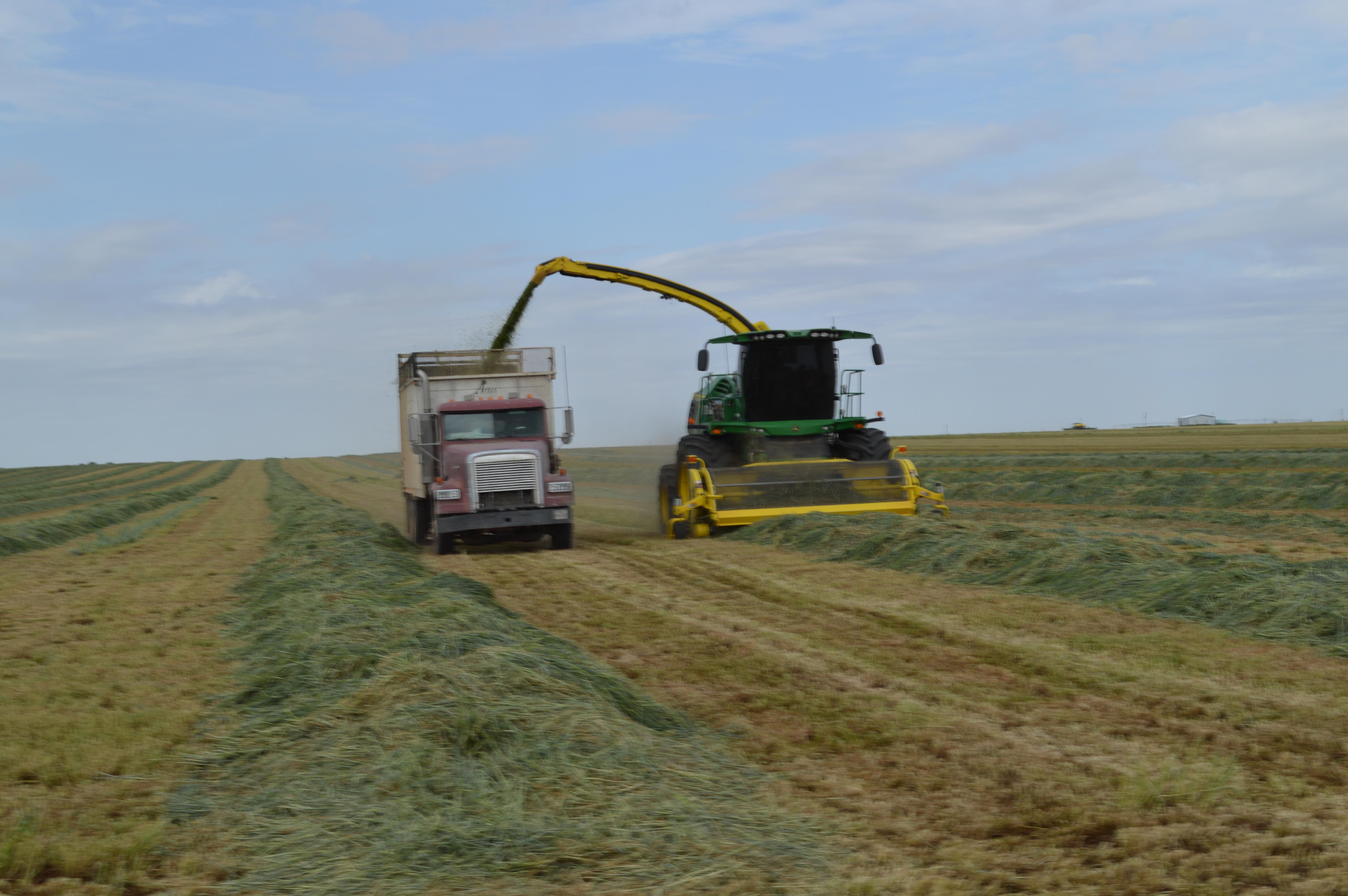 1,440 acres in Flagg, TX, 79027 | Land.com