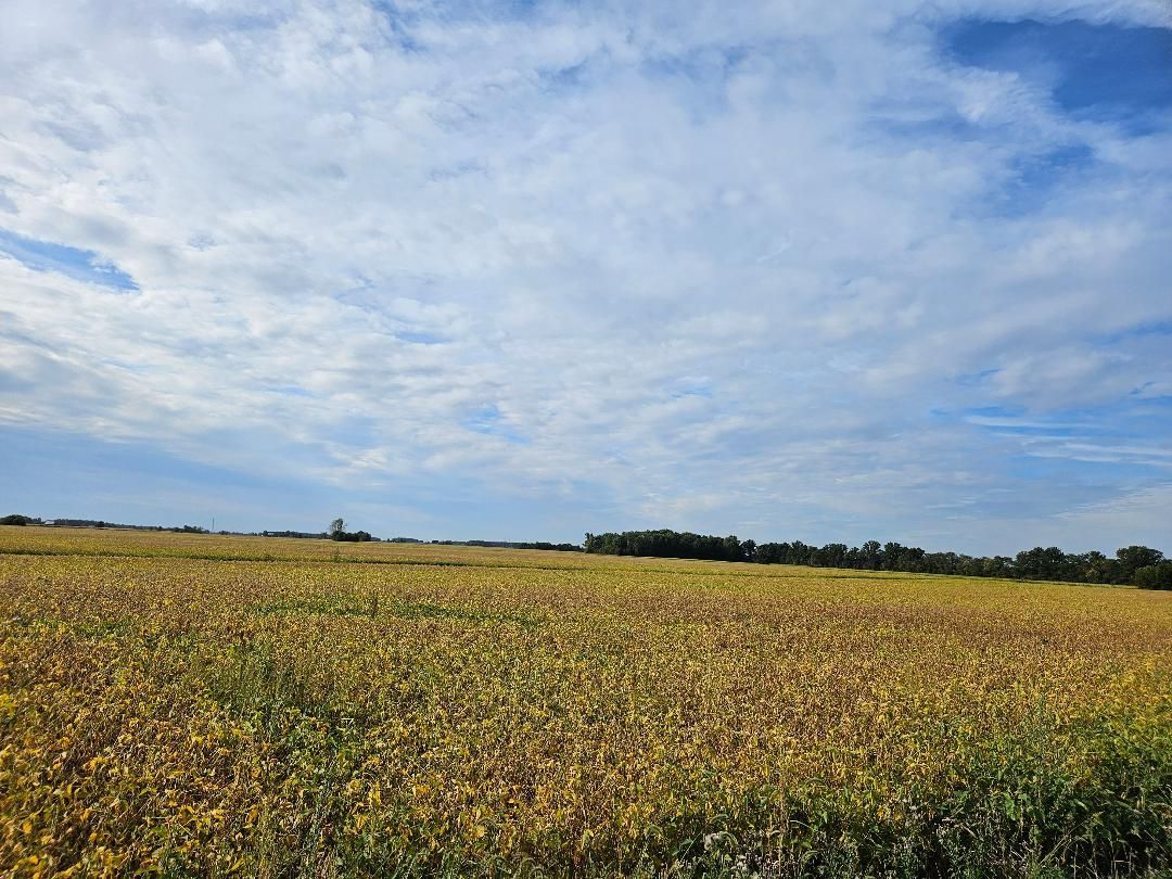 0 State Route 229, Ashley, OH 43003 | Land.com