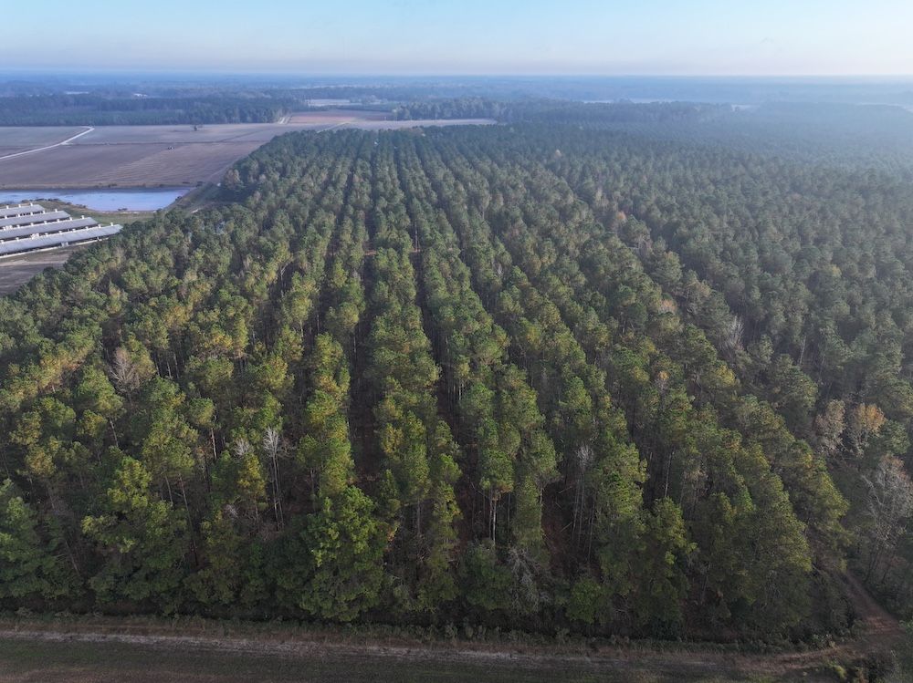 Off Seth West Rd, Lot#WP006, Dover, NC 28526 | Land.com