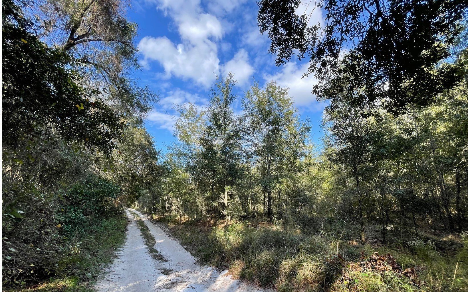 SW 182ND STREET, Archer, FL 32618 | MLS: 125293 | Land.com