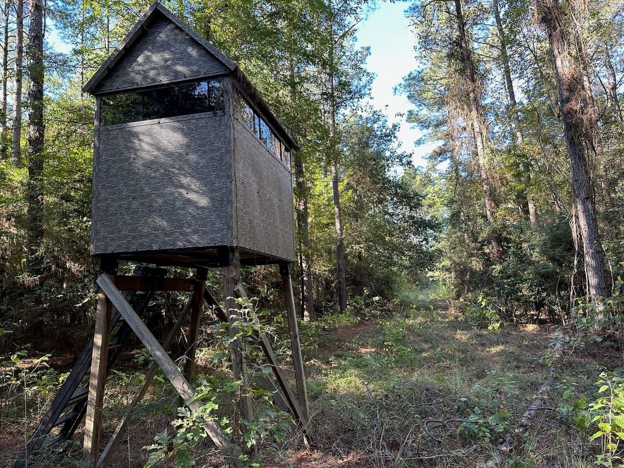 Vixen HC Road, Grayson, LA 71435 | Land.com