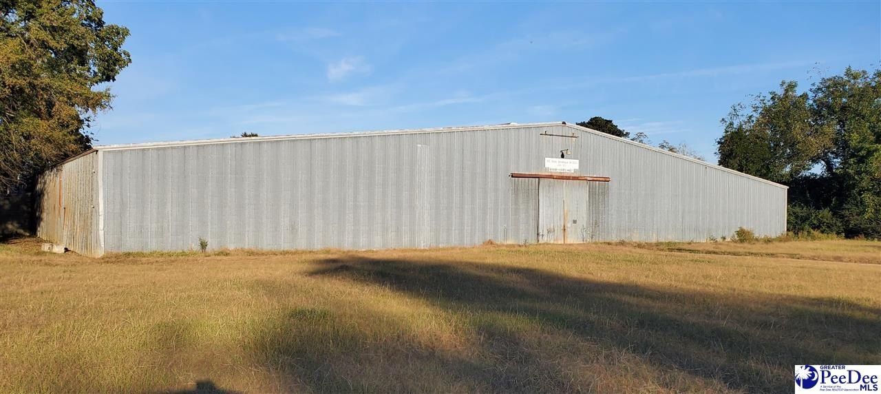 500 S Main Street, Clio, SC 29525 | MLS: 20244411 | Land.com