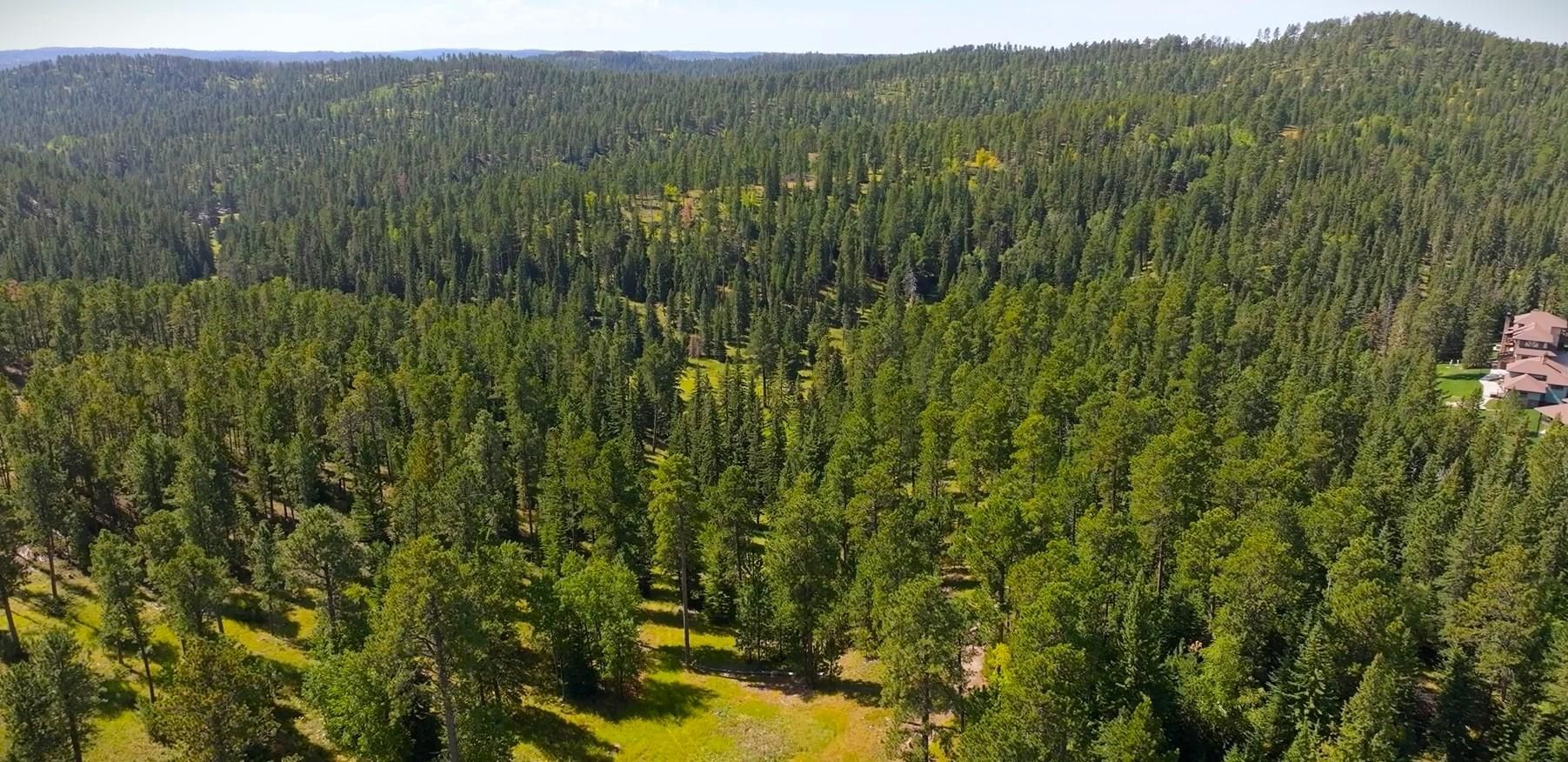 300 acres in Lead, SD, 57754 | Land.com