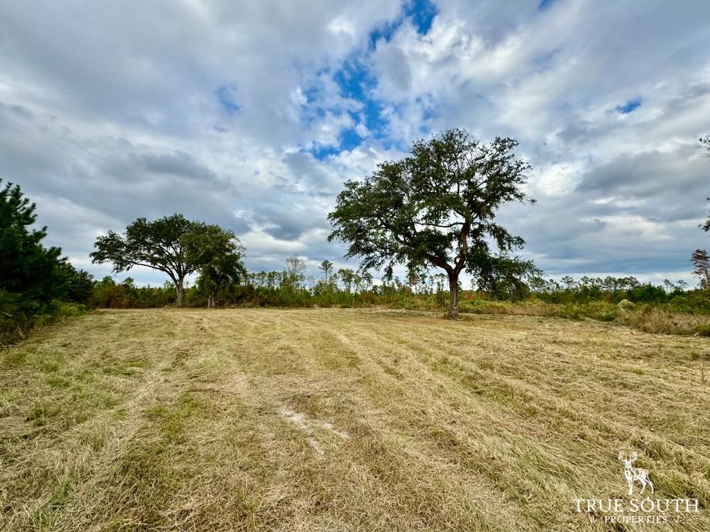 652 Low Country Highway, Yemassee, SC 29945 | Land.com