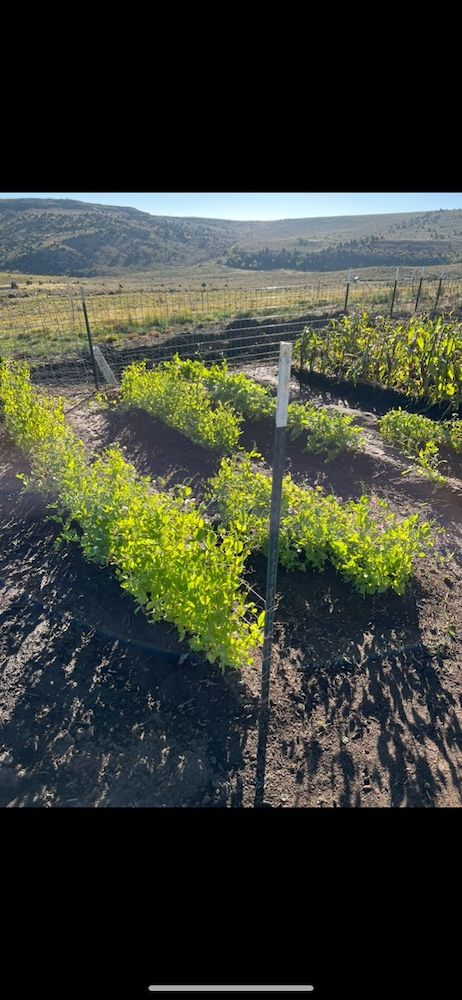 County Road 173 Lot#WP001, Evanston, WY 82930 | Land.com