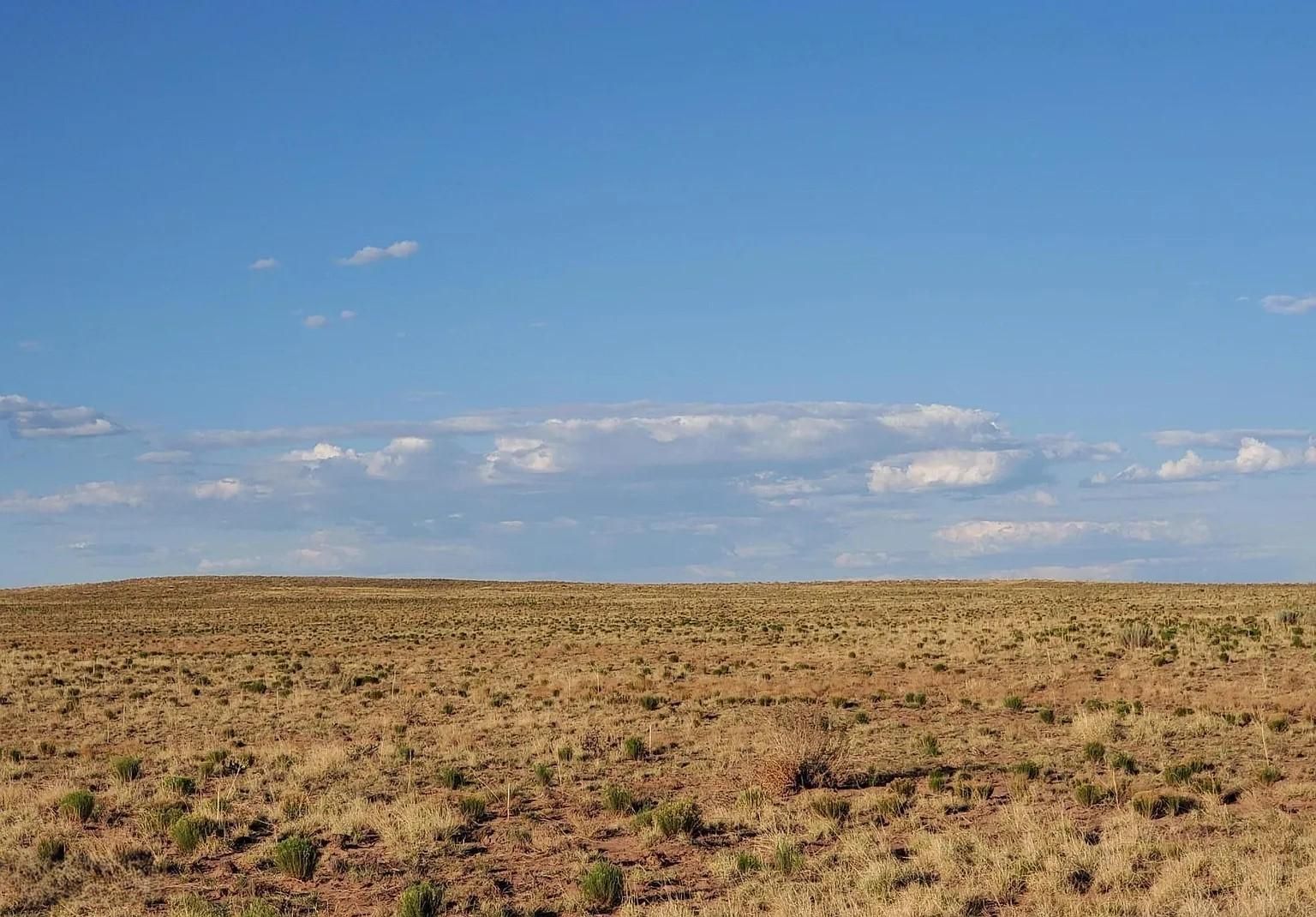 40 acres in Chambers, AZ, 86502 | Land.com